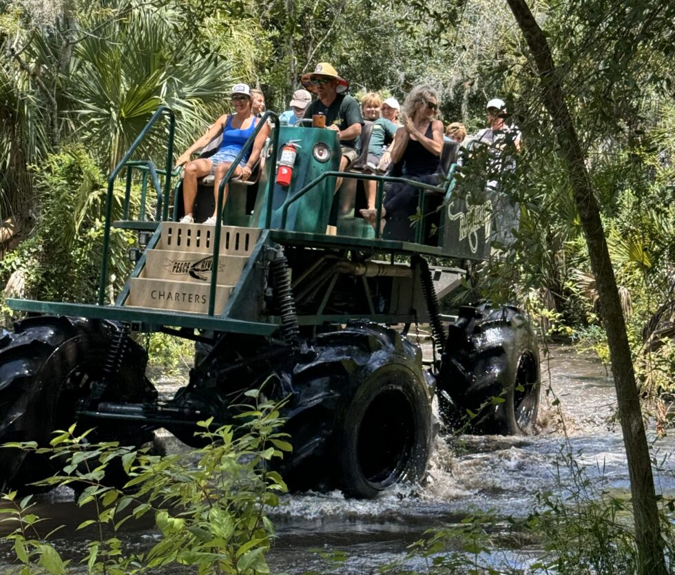 Snap to It: Getting the Perfect Photos on a Swamp Buggy Tour | Peace ...